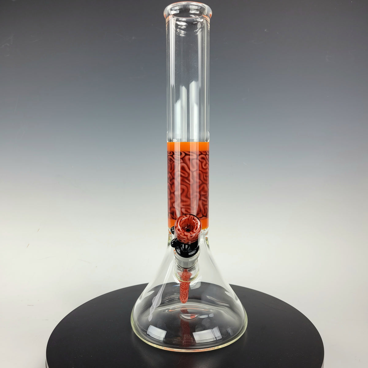 Algae Brain Elcalmo Beaker | Legacy Glassworks